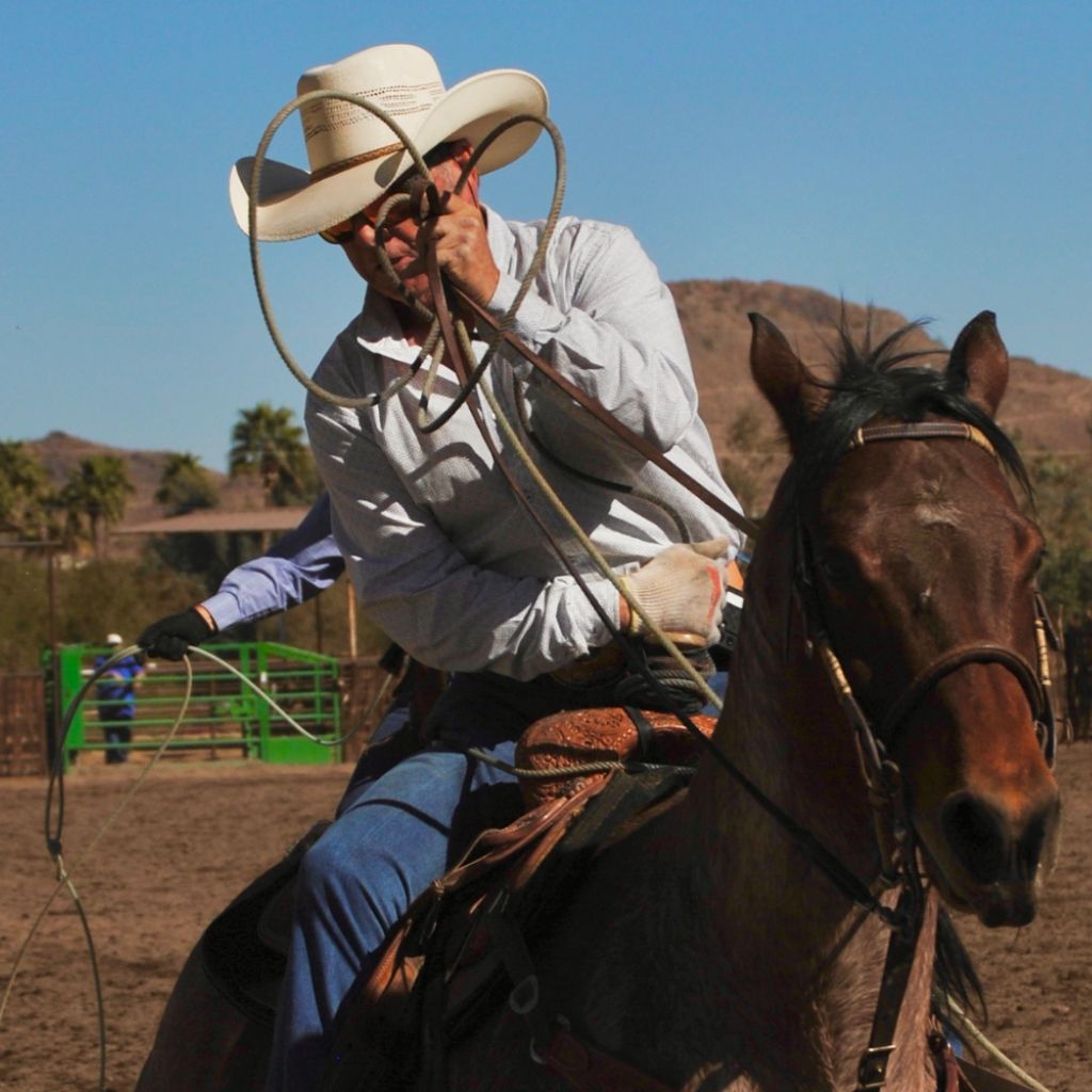 Men's Western Shirts | Snap Shirts & Button Ups | Cowboy Hardware